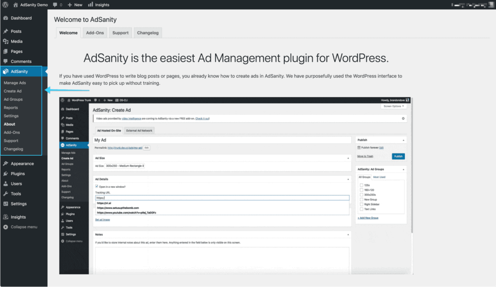 AdSanity Setup - The AdSanity Plugin