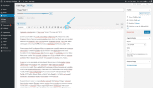 Rotating Ad Widget - The AdSanity Plugin